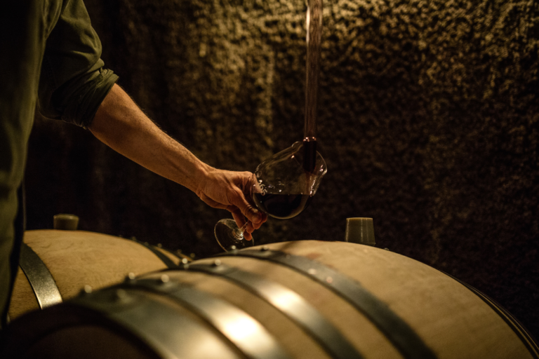 Archery Summit - 🍷 Willamette Valley Wine Tasting